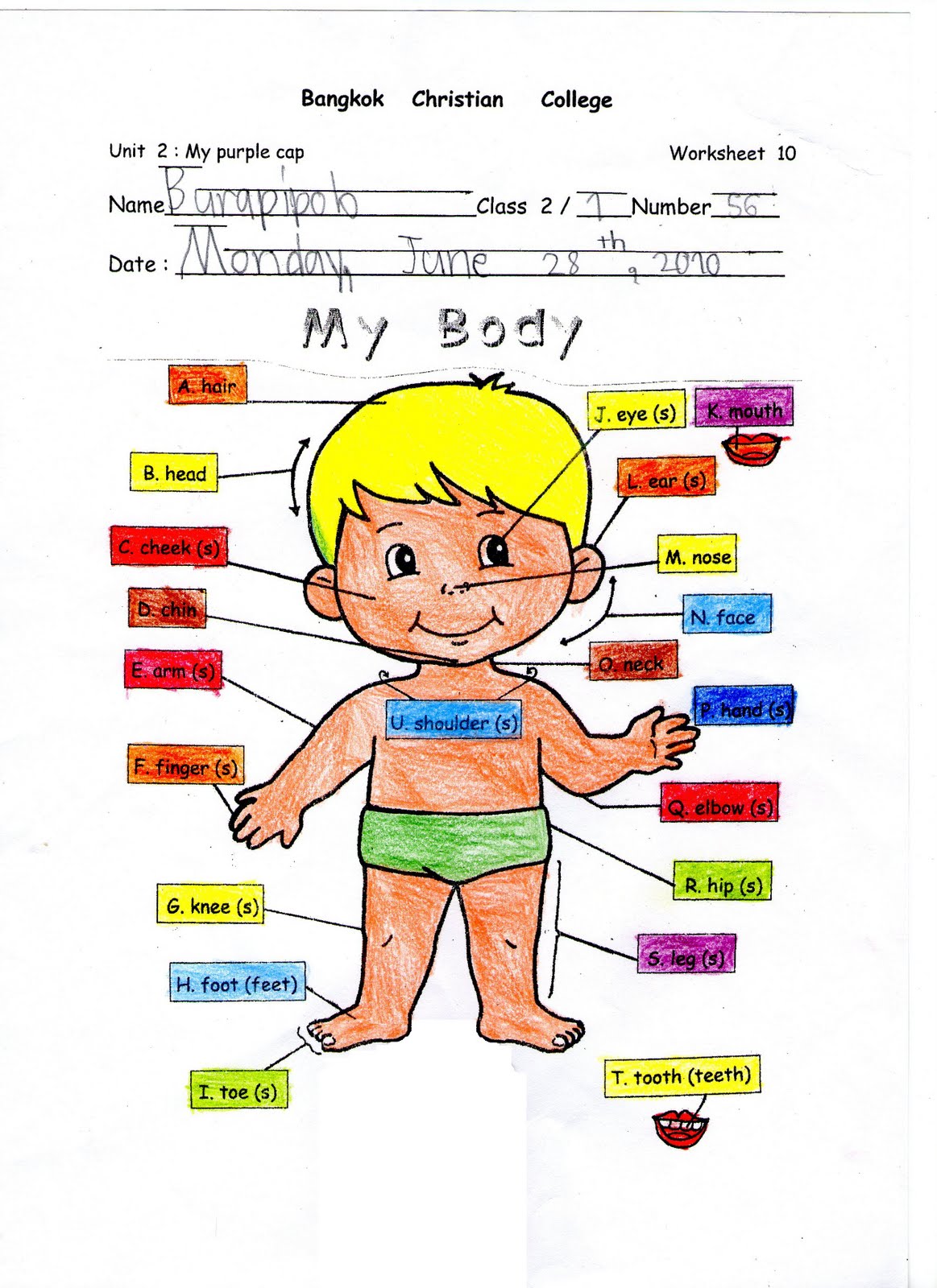 Trio: Dic 2 Parts of the body