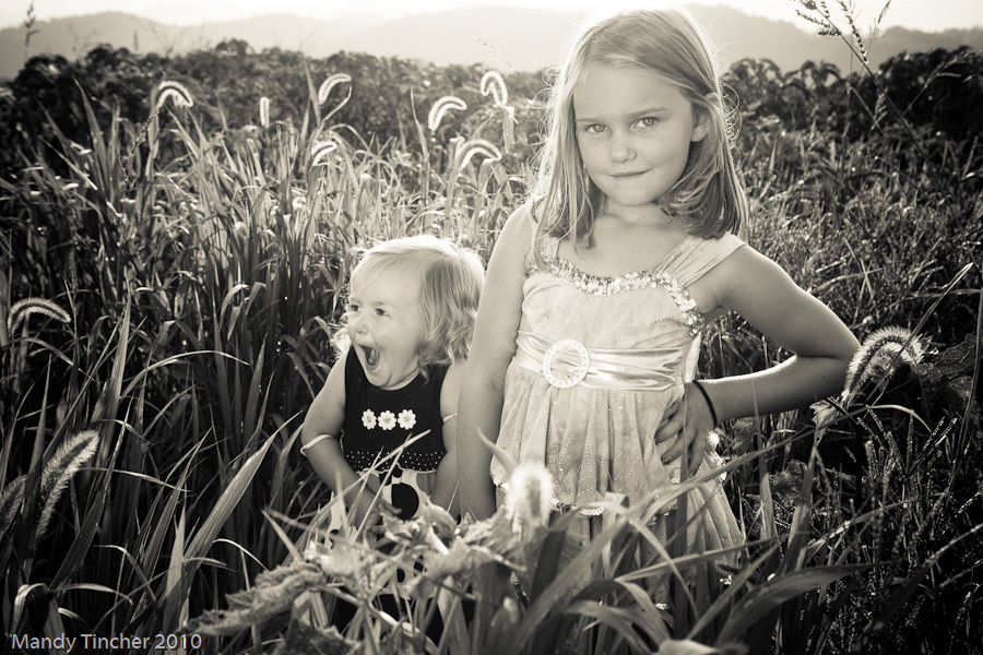 Pixel Pixie Photography: The Blog: The one with the face.