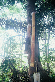 Direto de Timor-Leste