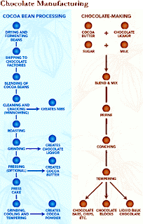 Les Entremets de la Gourmande: Chocolate: Notes from Powerpoint
