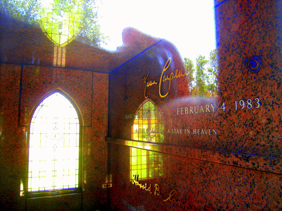 Los Angeles Morgue Files: Musican Karen Carpenter Dies at Downey Family ...