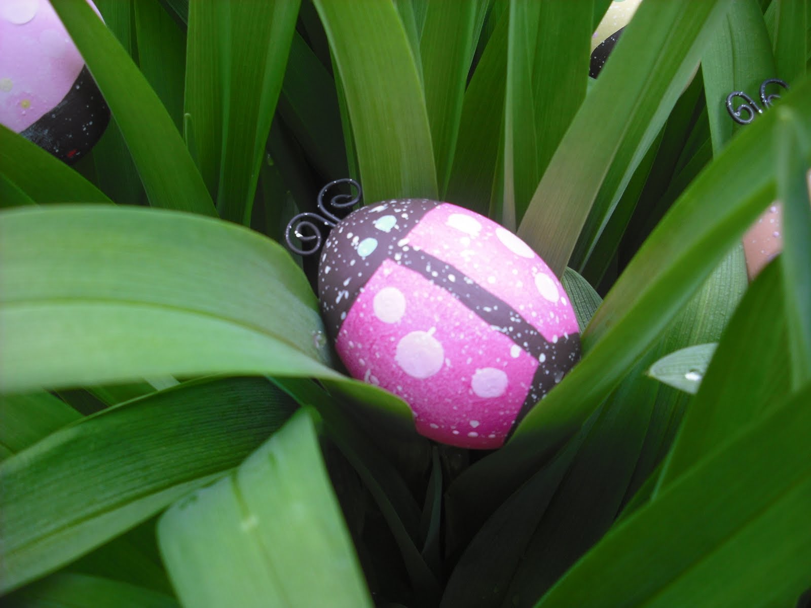 Crafty Sisters: Day #2 Lady Bug Eggs