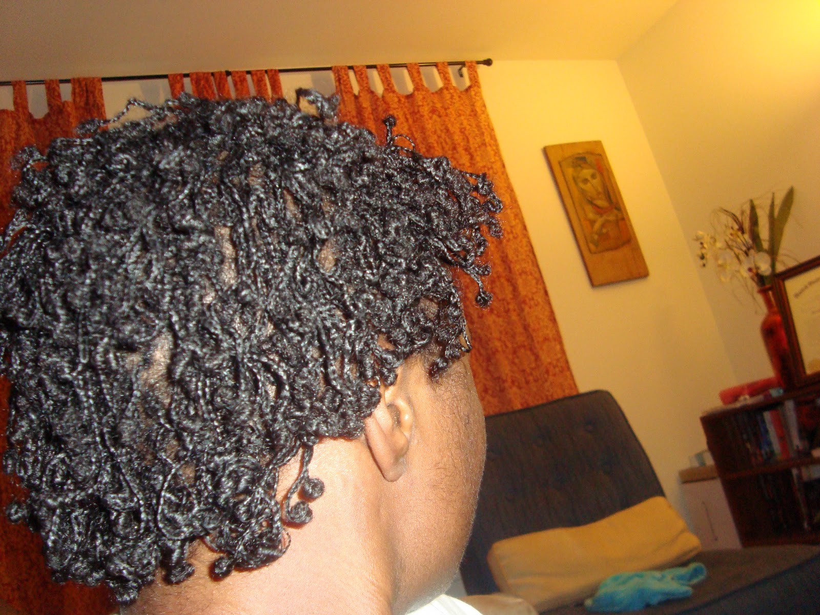 Enlivened Beauty: Took The Leap With Braidlocks