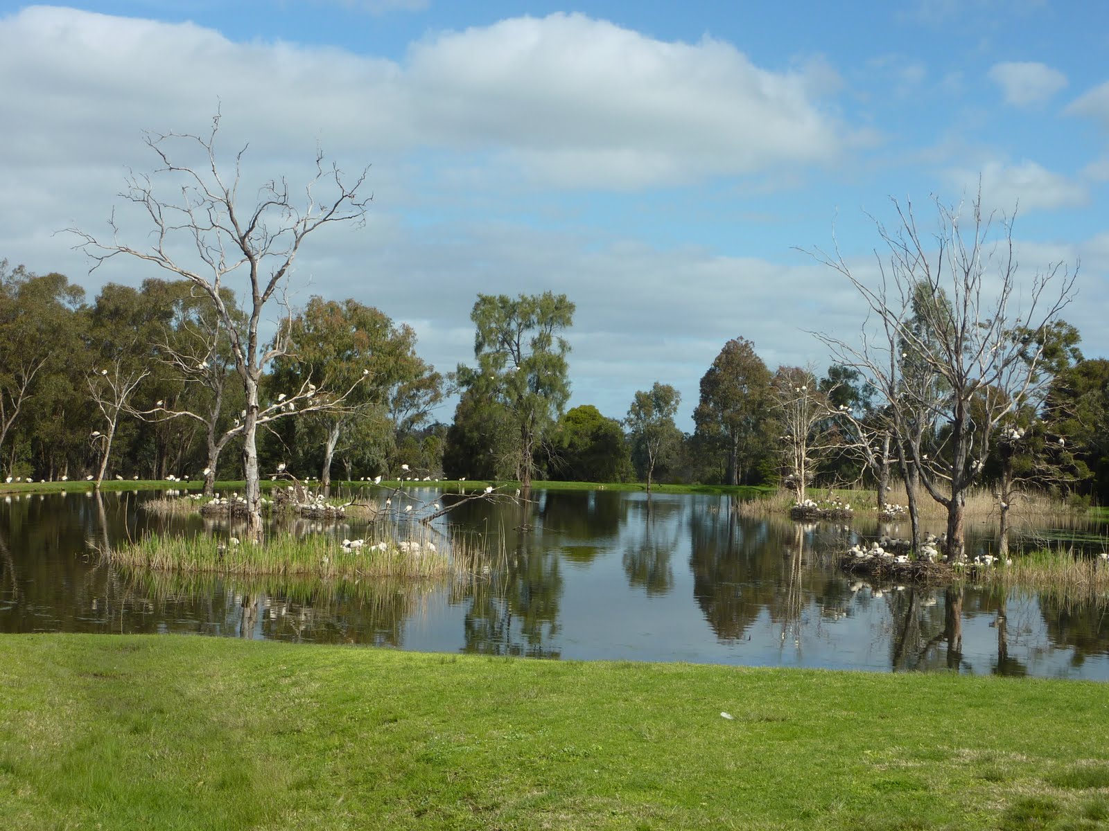 Snodge's subjective travel blog: Day 2 - Taronga Western Plains Zoo ...