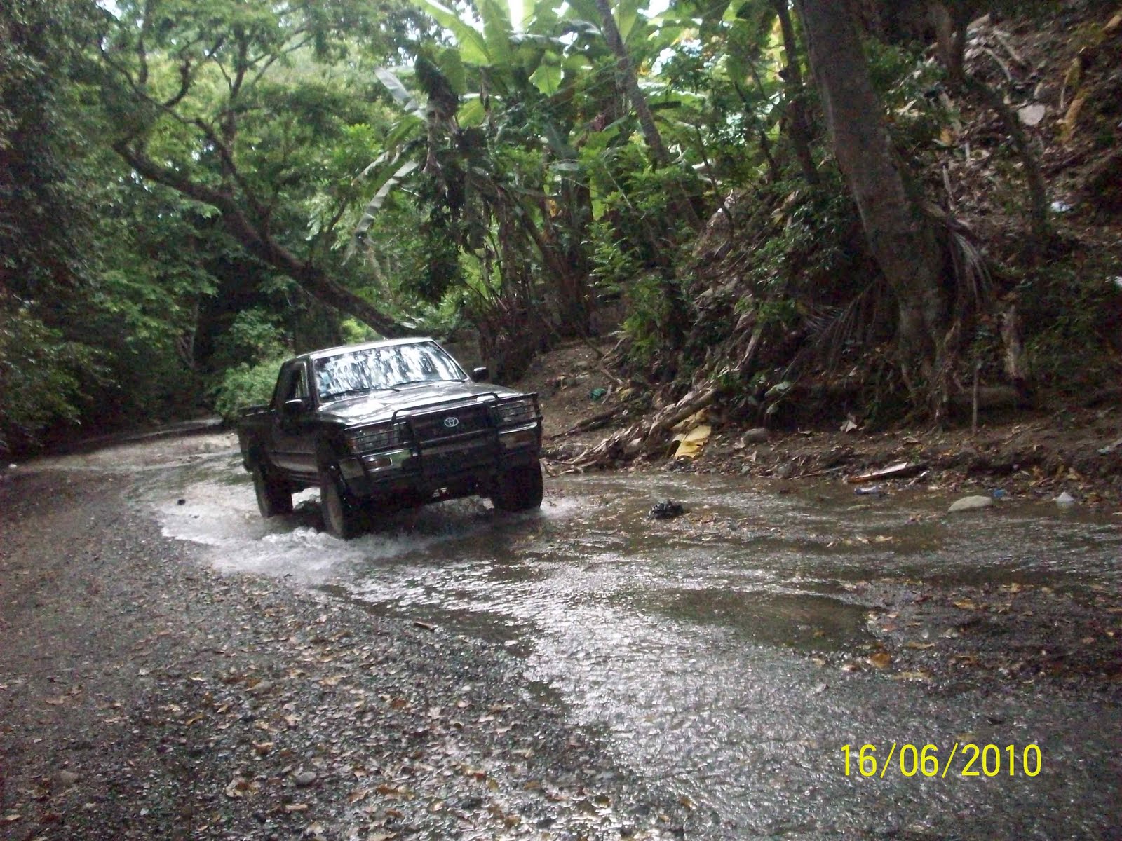 LA ESQUINA DE PANCHO PEREZ.: RESERVA NATURAL UNICA EN BAITOA (El Manantial)