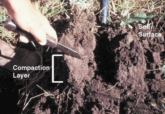 What is Soil Compaction and When is it a Problem