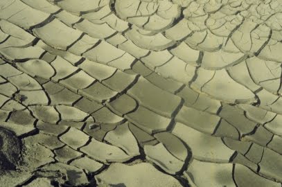 What Determines Crust Formation