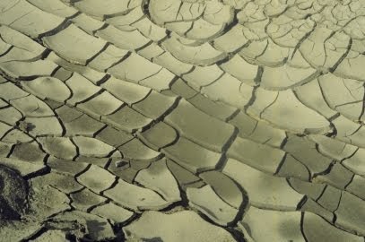 What Determines Crust Formation