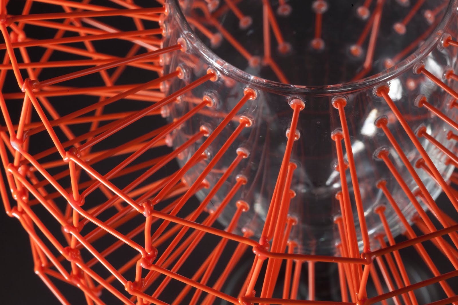 art by Jessica Jane Julius