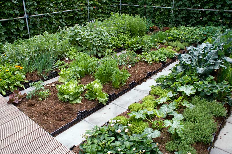 De Kleine Dingen: Fijn weekend: Appeltern