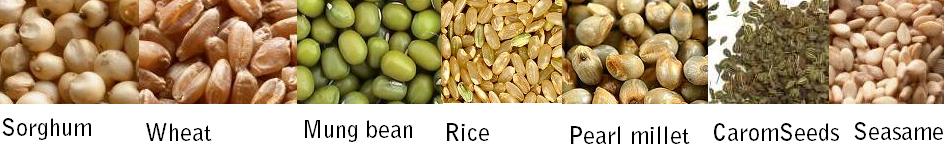 Subhiksa - Vegetarian Cooking: 5 Grain Porridge