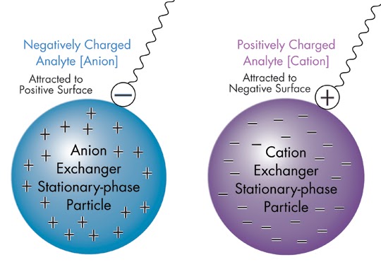 QUIMICA I: Anodo y Catodo