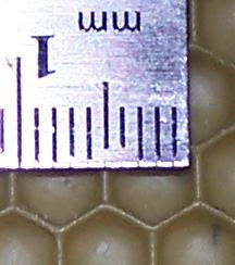 Beekeeping : LESSON TWO: Basic Hive Components: The Deep Hive Body