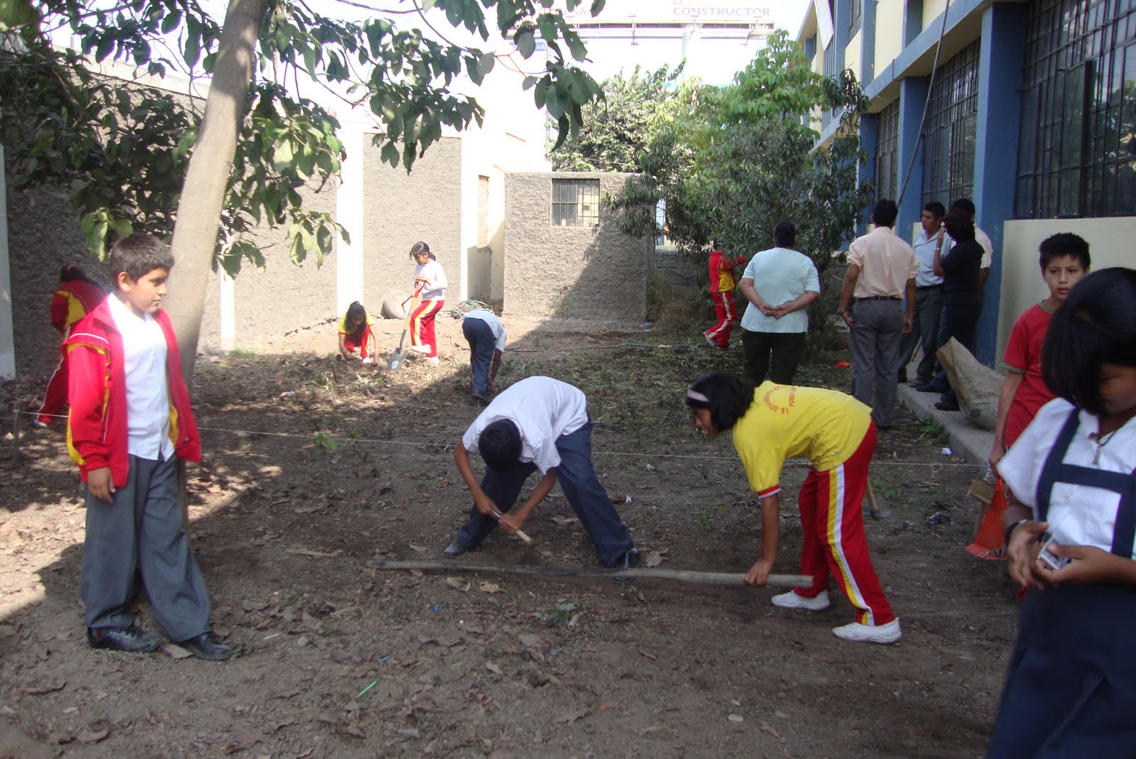 "Sembrando vida y cultivando valores": El Biohuerto Escolar
