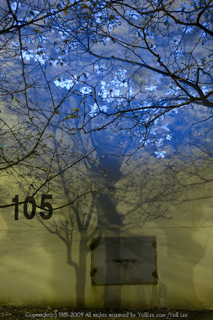 YOHAN WHITE NIGHT: 이흥렬, Number_105