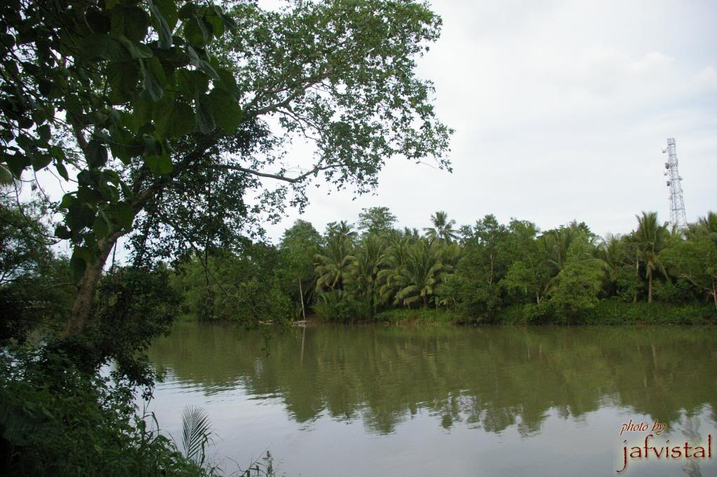 Inabanga, Bohol, Philippines: MY HOMETOWN "INABANGA, BOHOL"
