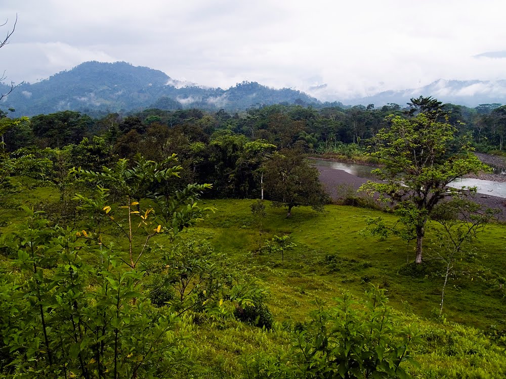 Travels with Tyler: In search of Panama: “Racing through the jungle at ...