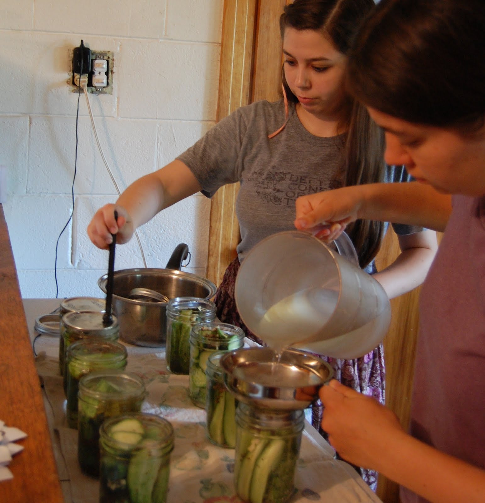 The Story of a Seamstress: How to Make Pickles
