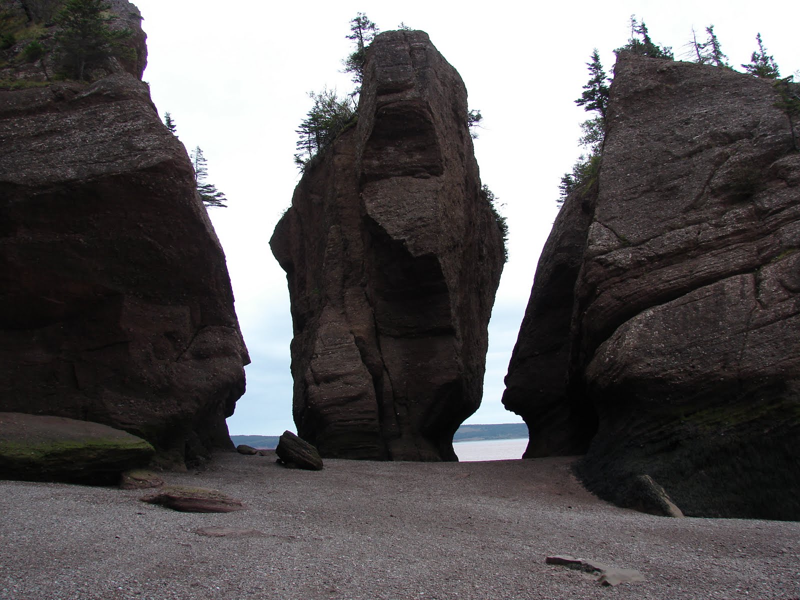 A Codger, Cutie, & a Cat: Bay of Fundy @ Hopewell Rocks (tide out)
