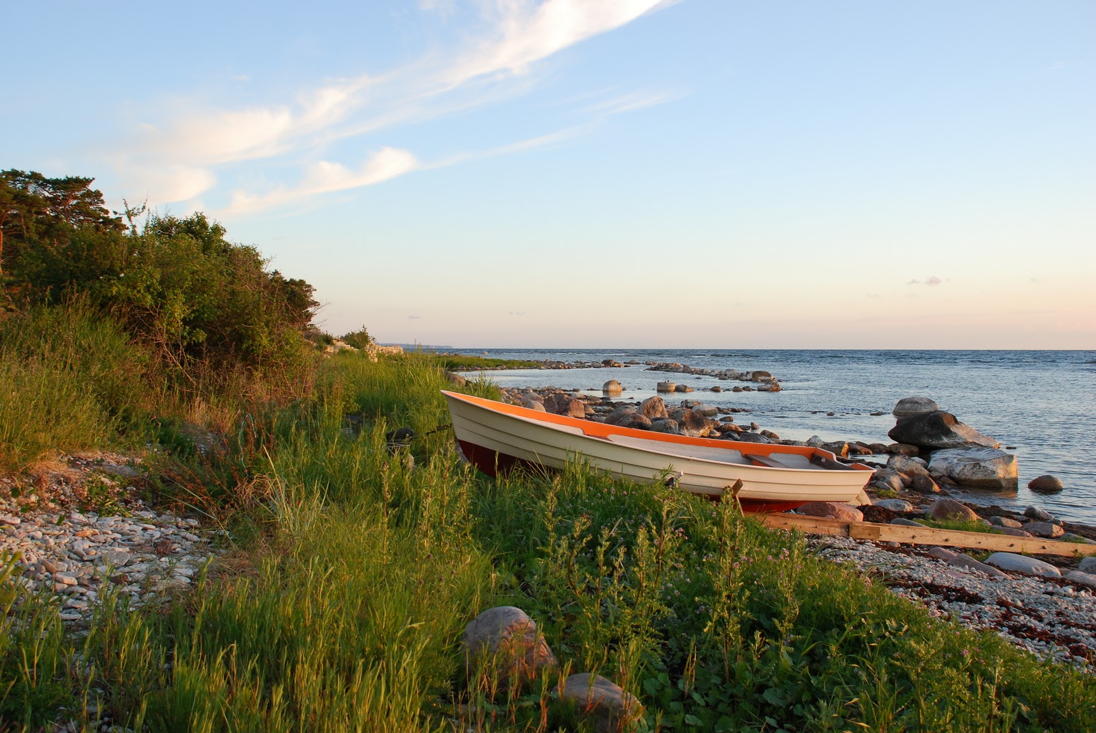 Hasse Andersson´s Foto: En fin strand promenad