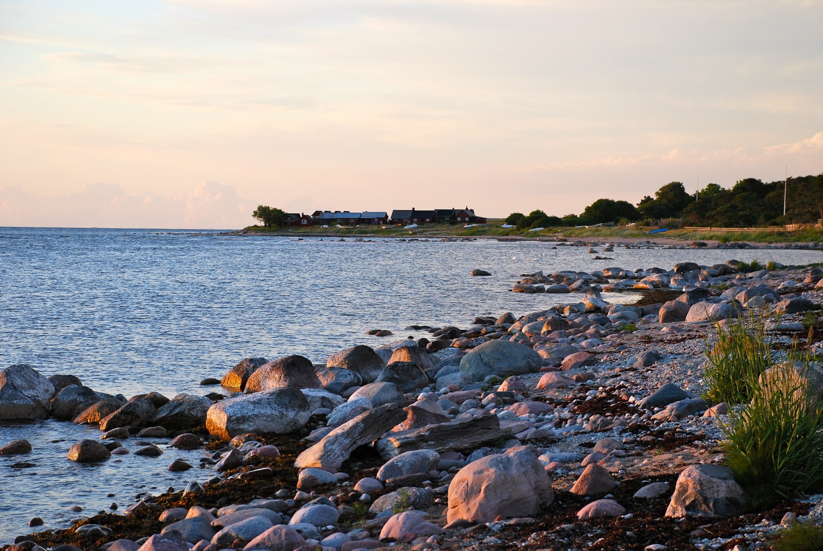Hasse Andersson´s Foto: En fin strand promenad