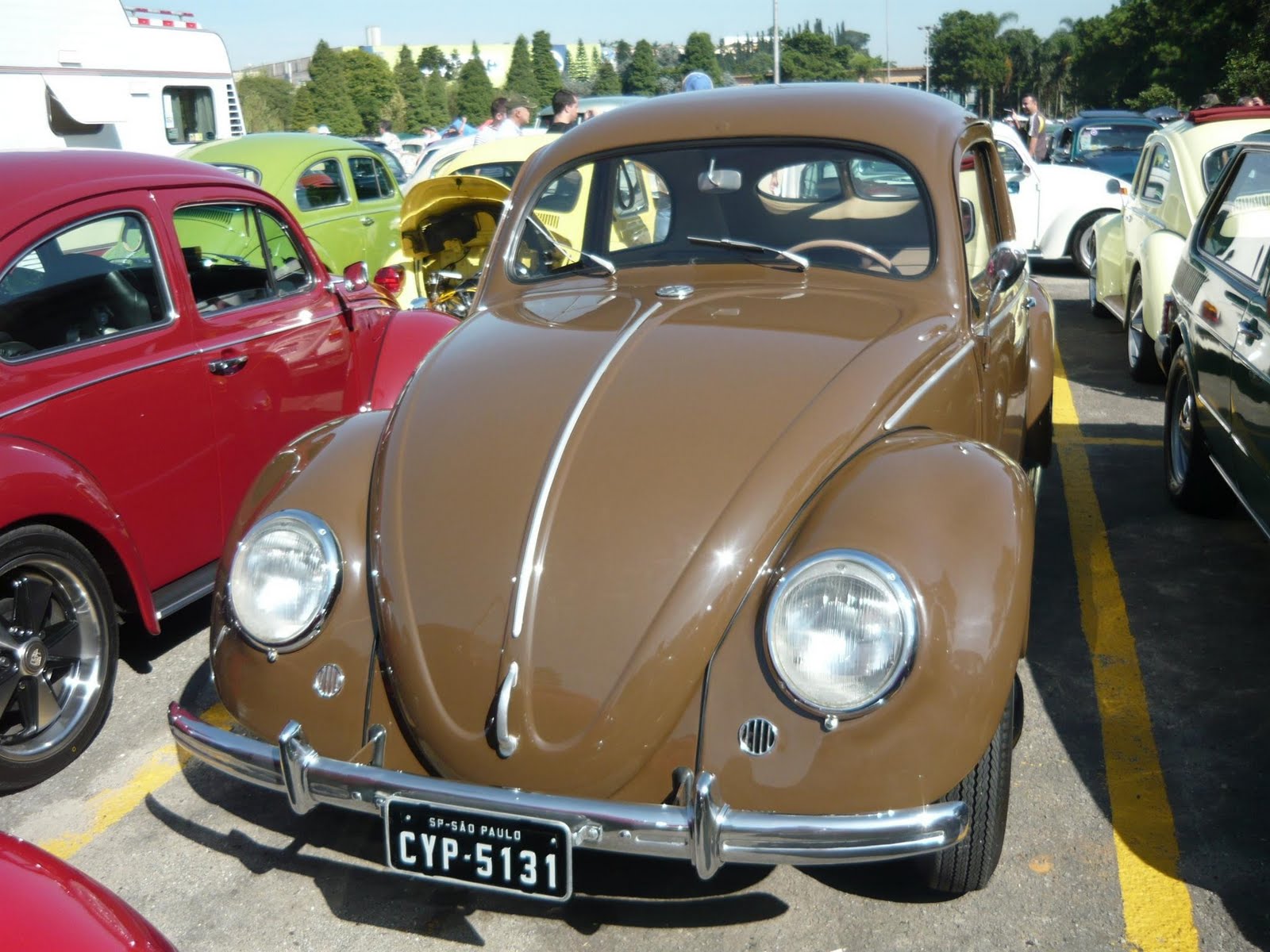 Fusca Classic: Vw - Split Window 1950, nota 10.