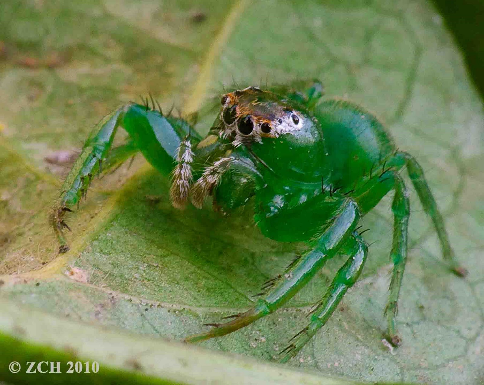 Zane's Photo Blog: September 2010