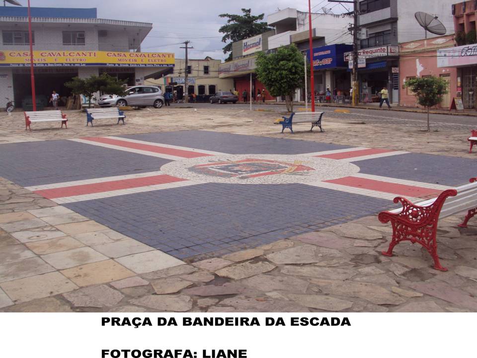 ECOTURISMO FAMASUL - PERNAMBUCO: FOTOGRAFIA DO ECOTURISMO DE ESCADA ...