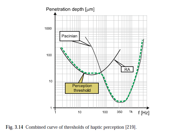 edbhok: Biological Basics of Haptic Perception