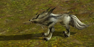 View topic - Zemes Devinu{Dragon-Riders/Fantasy RP}(ACCEPTING)[Semi-lit ...