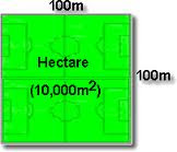 Projeto Terra 7a. D: Hectare