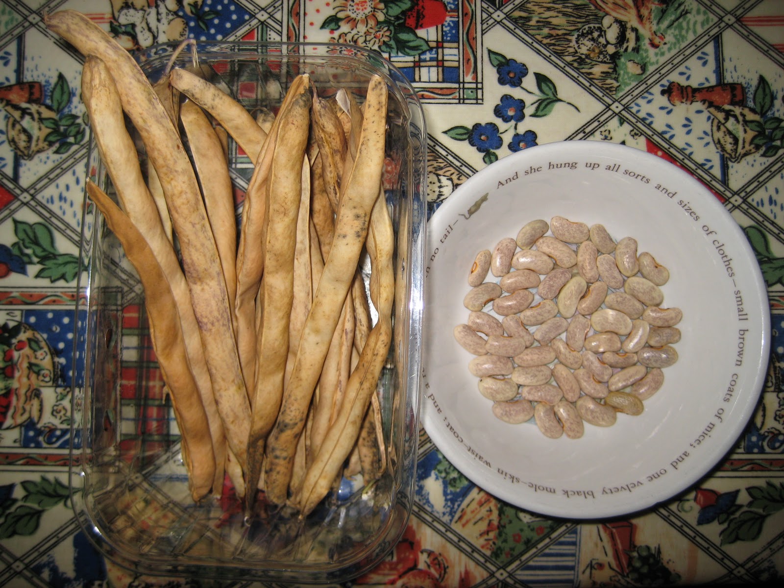 Mal's Allotment: Bean Bonanza