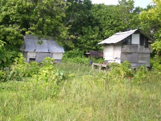 Jessica & Caleb's Missions: Typical Marshallese Homes