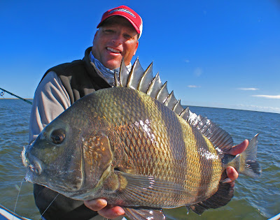 CAPTAIN BRUCE CHARDS FLY FISHING BLOG!