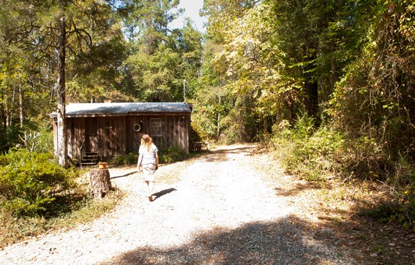 Export of North Devon Pottery to America's Eastern Seaboard: Seagrove ...