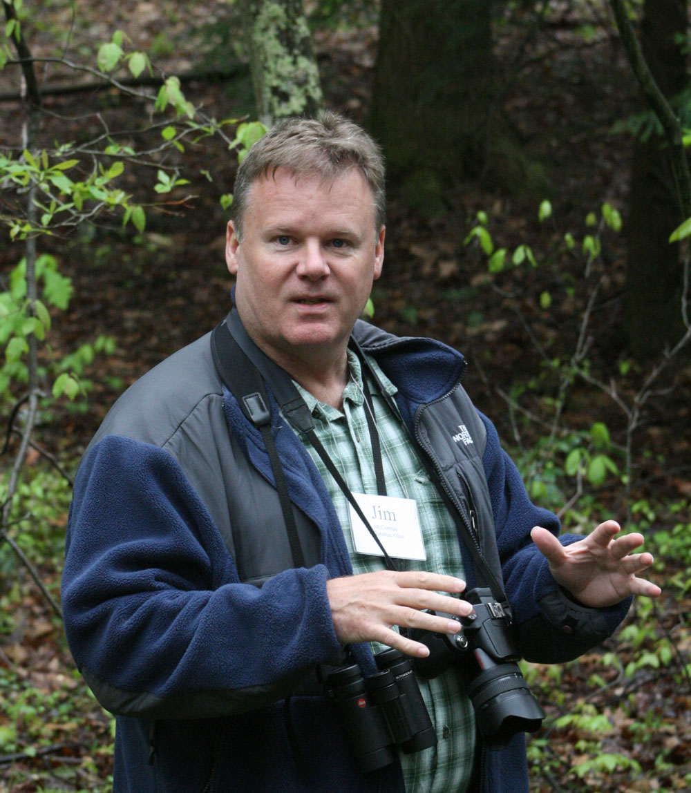 Vickie Henderson Art: A Day at the Meadow with Experts