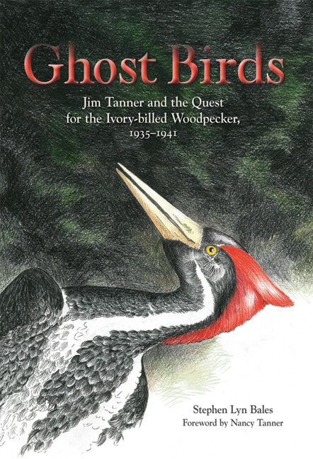 Vickie Henderson Art: Ghost Birds--A Must-Read for Bird Lovers and ...