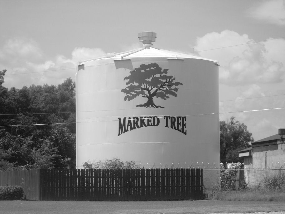Trivia About Towns: Marked Tree, Arkansas
