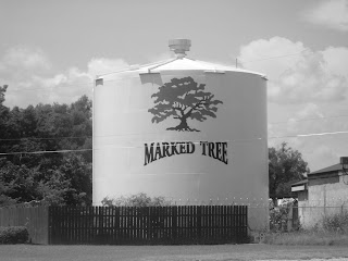 Trivia About Towns: Marked Tree, Arkansas