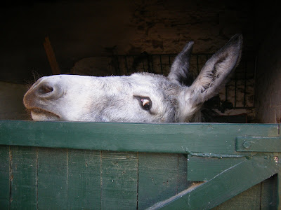 Calderilla: junio 2008