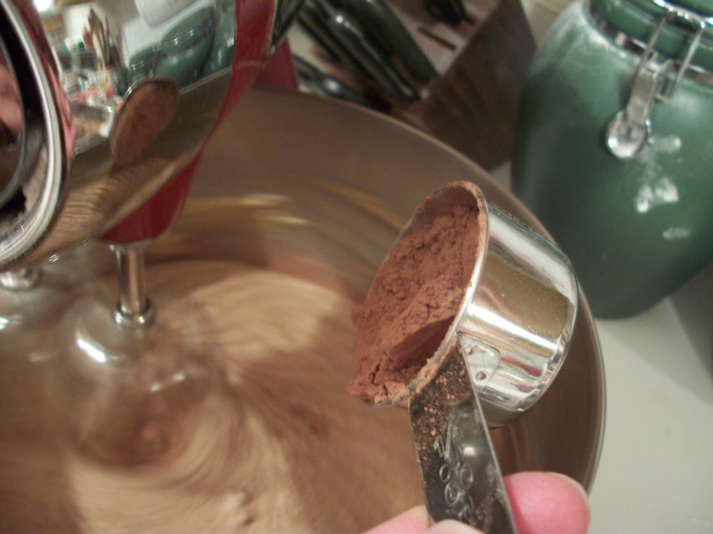 Cook with Sara: Chocolate Raisin Cake