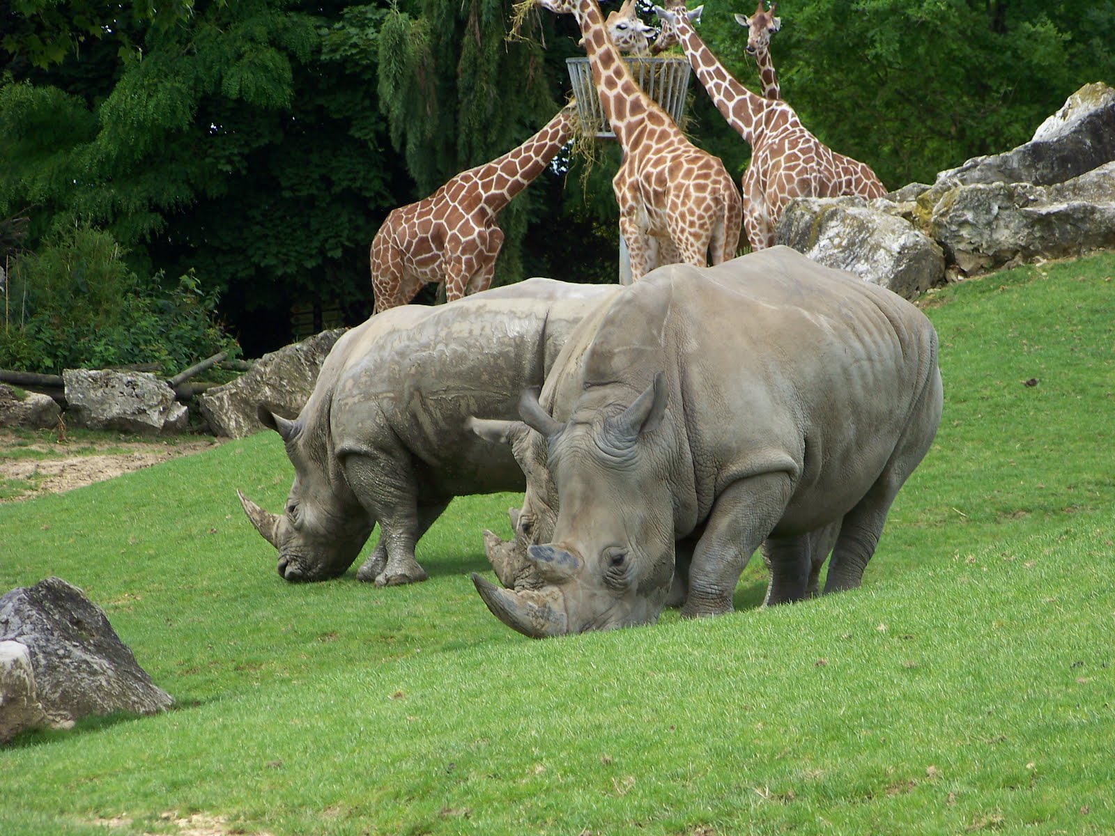 mon petit monde a moi: Visite au zoo