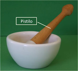Dicionário Visual de Química: Pistilo