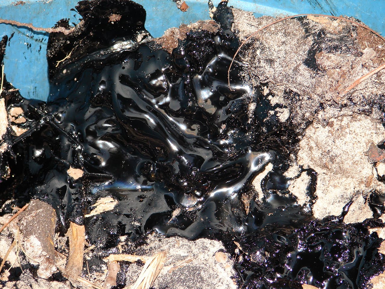 Bayou Lady: Mysterious Black Gunk