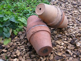 DIY greywater: DIY deep-watering system