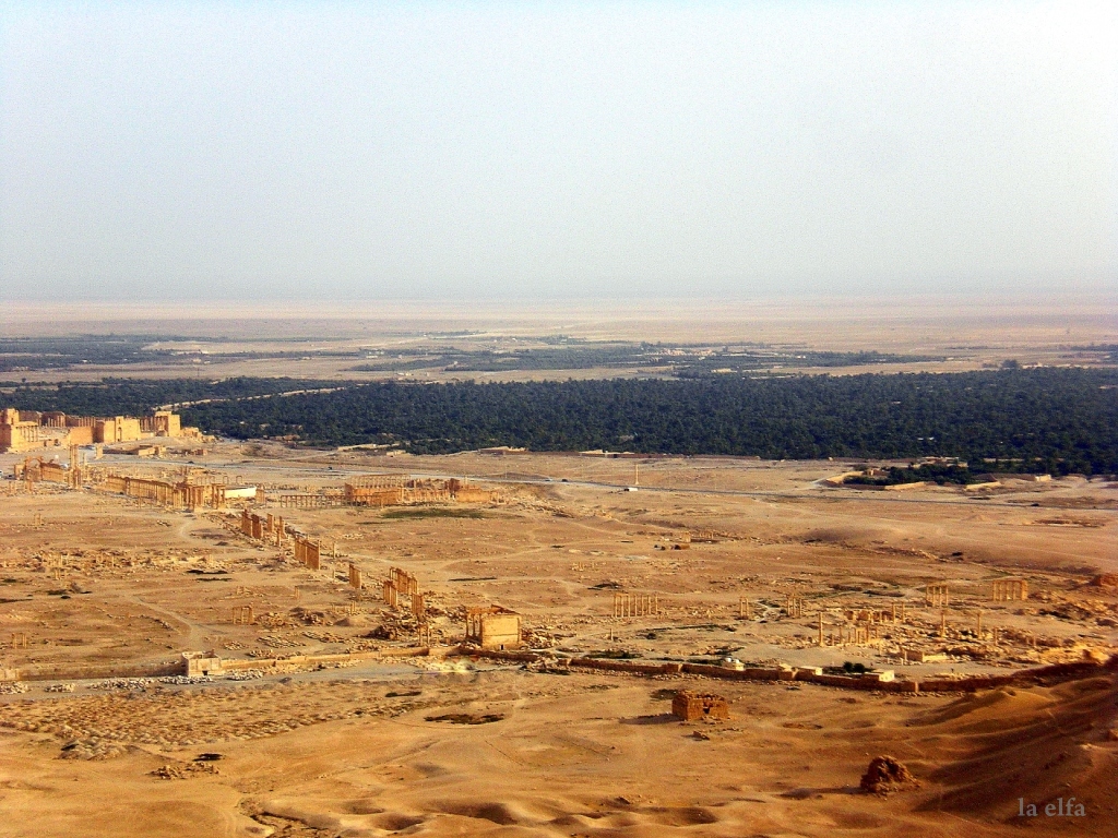 la elfa: Palmira – la reina del desierto