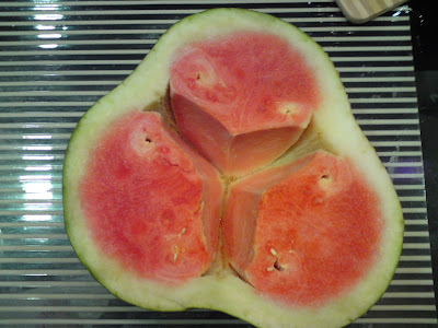 Success, all around YOU: Weird Watermelon Encounter (WWE)