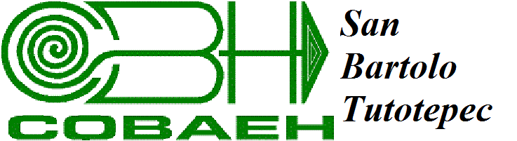 COBAEH SAN BARTOLO TUTOTEPEC: 2010