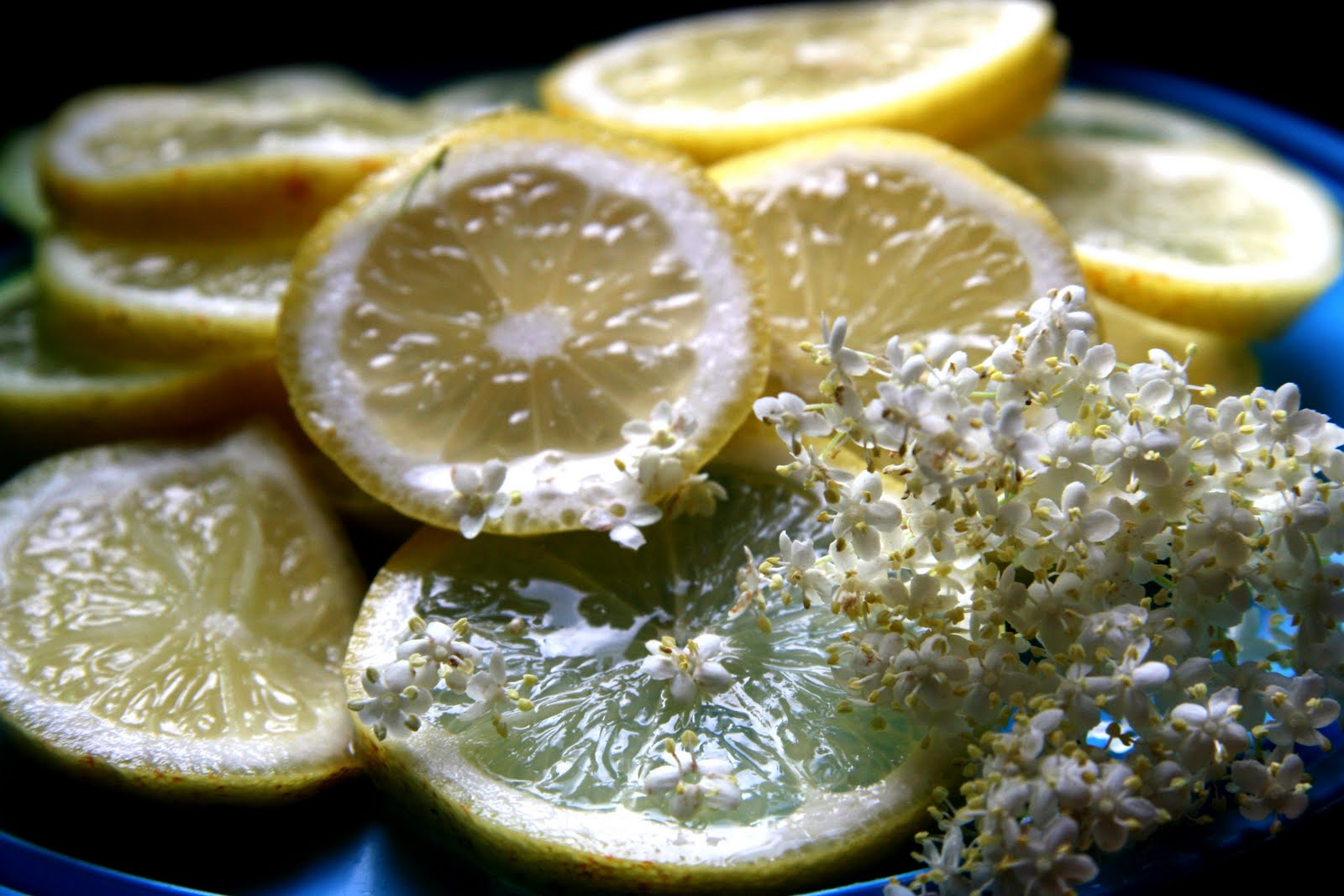 Snow in a Teapot: Design Blog: Elderflower Cordial