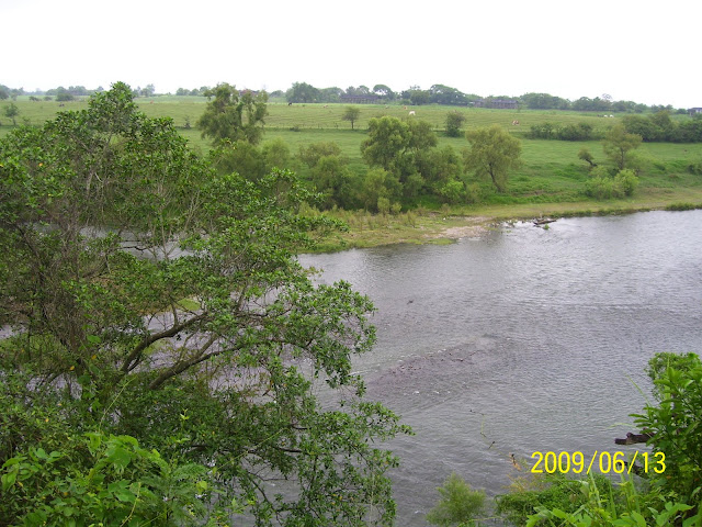 RIO "LA RIVERA" | IMAGENES